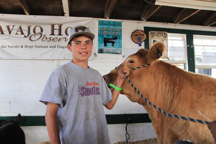 Coconino County Fair 4 H | Photo Galleries | williamsnews.com