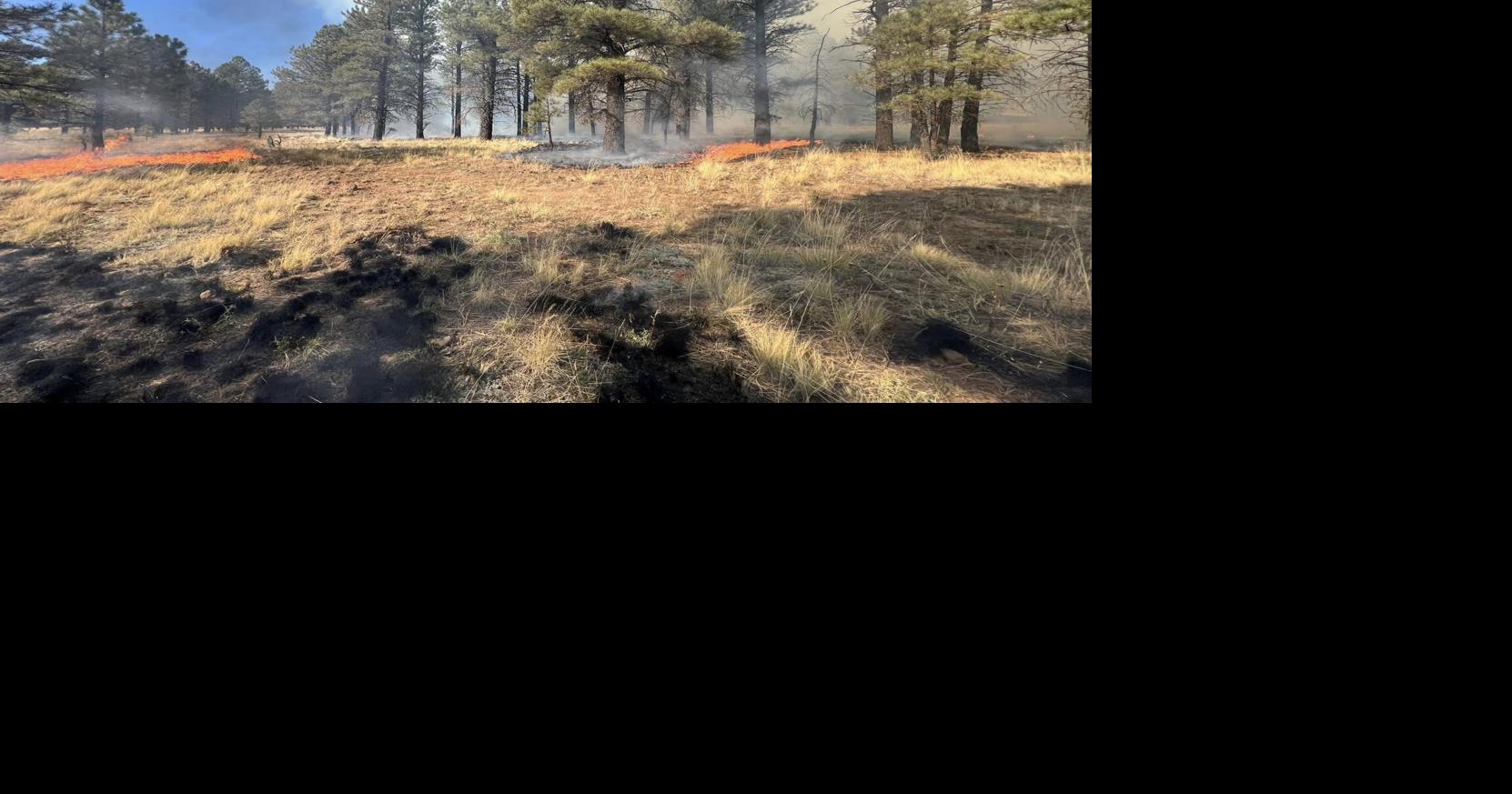Coconino National Forest prepares for fall prescribed burn projects ...