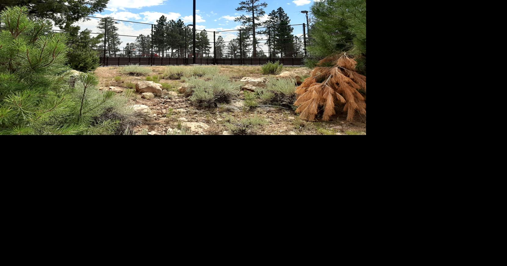 Plans for Tusayan/Grand Canyon sports complex center creep forward ...