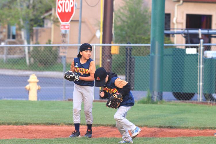 Williams Little League minors baseball teams hit home runs | Sports ...