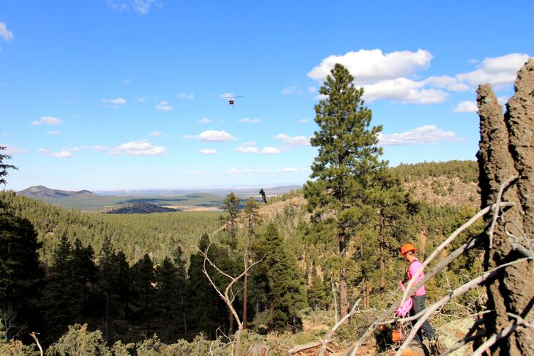 Aerial logging on Bill Williams Mountain | Photo Galleries ...