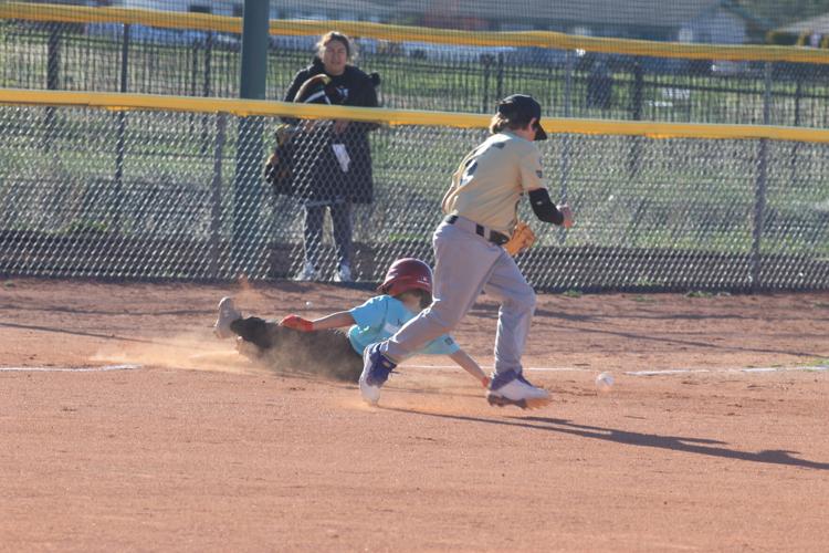 Williams Little League majors baseball teams battle at the plate ...