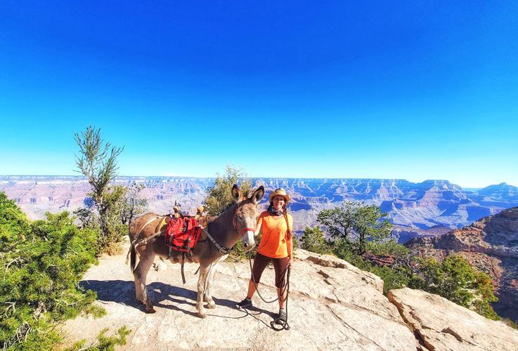 Western Pack Burro Racing Ass-ociation takes Grand Canyon rangers for a ...