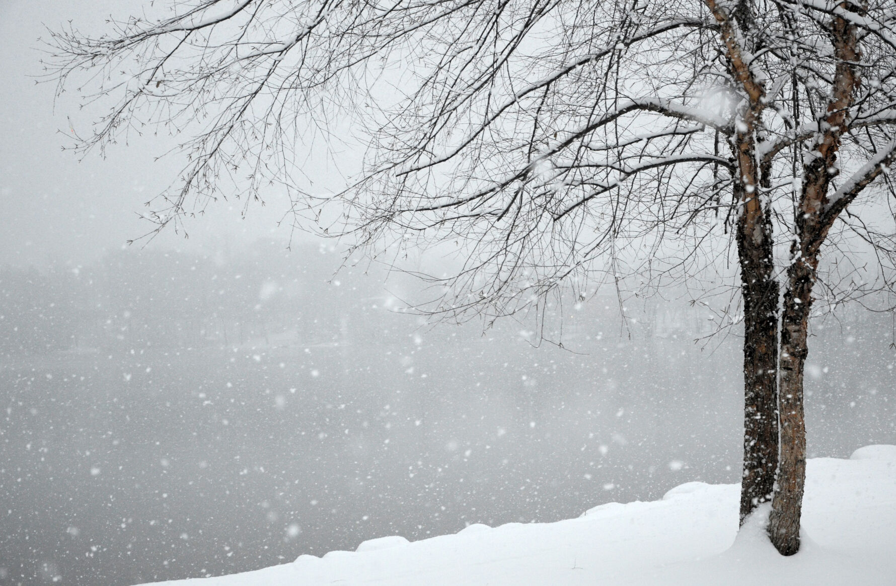Winter weather coming to Williams Saturday | News | williamsnews.com