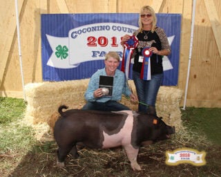 A day at the fair: Coconino County Fair highlights | Features ...