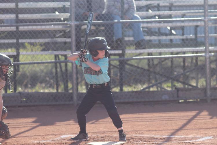 Williams Little League majors baseball teams battle at the plate ...