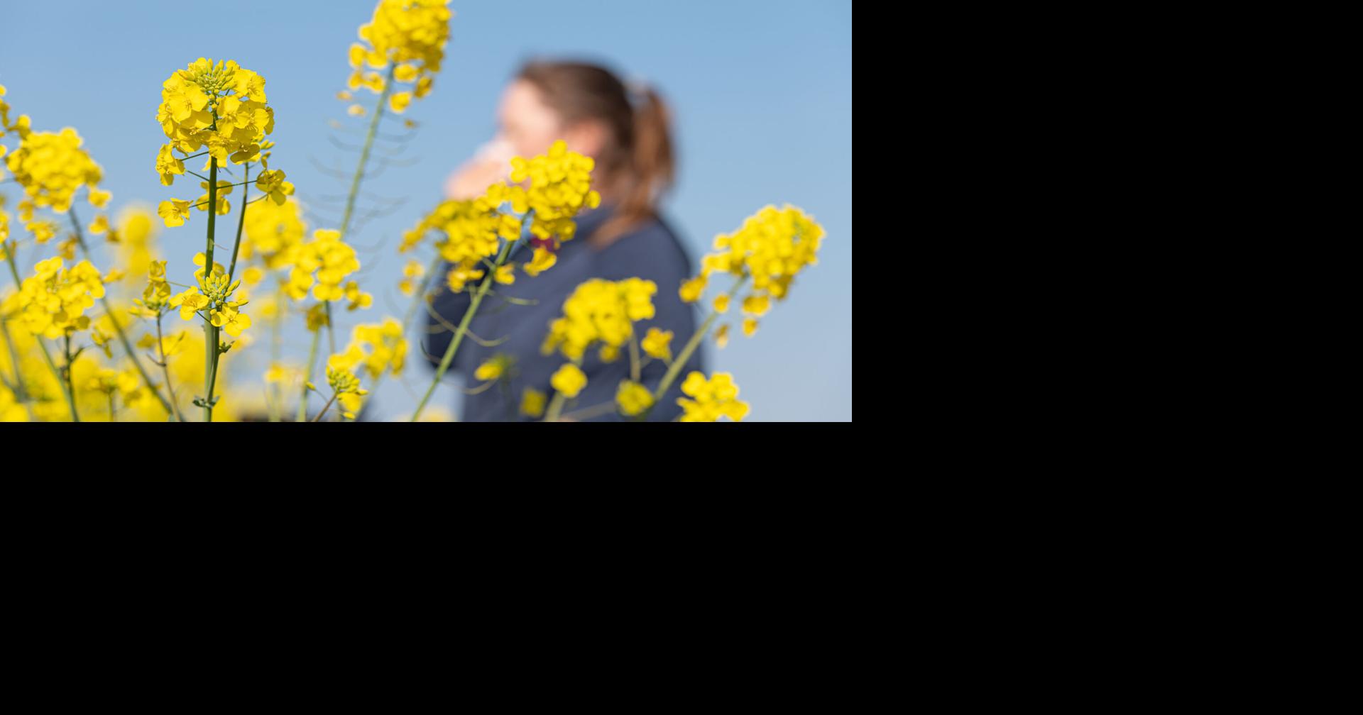 Allergies can make you miserable. Here's how to track pollen levels ...