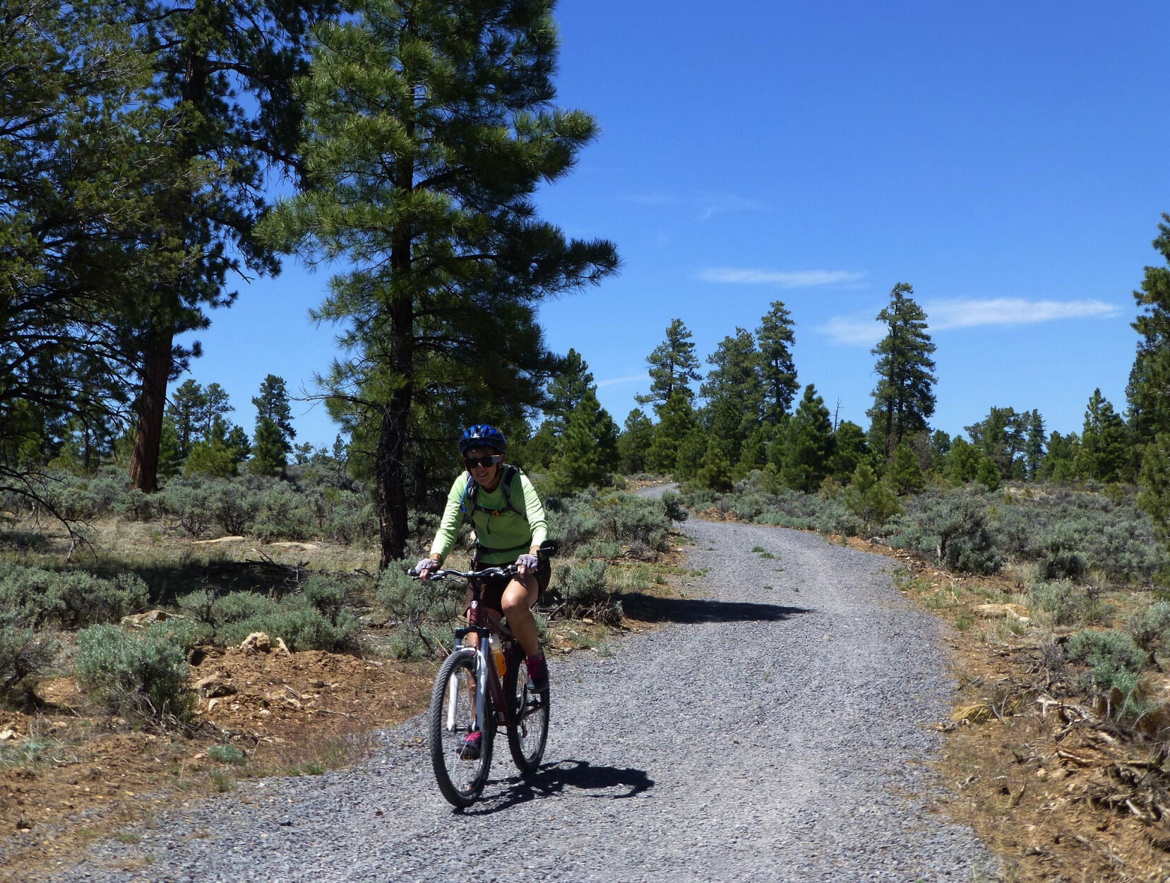 Forest Service debuts new recreation mobile app | News | williamsnews.com
