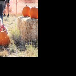 As fall arrives so does the Alpine Harvest Festival | Features ...