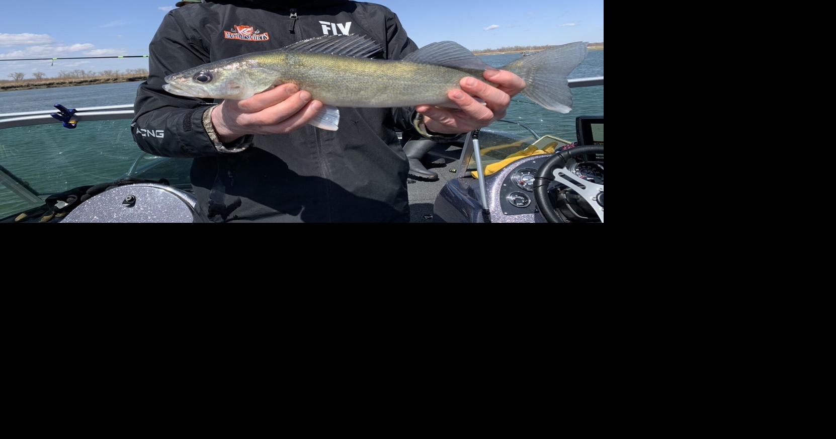 The Peluso Report: Spring Pointers | Hunting and Outdoors ...