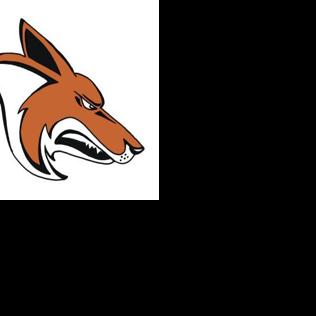 WHS boys swimming, diving named WDA Team of the Week | Prep Sports ...