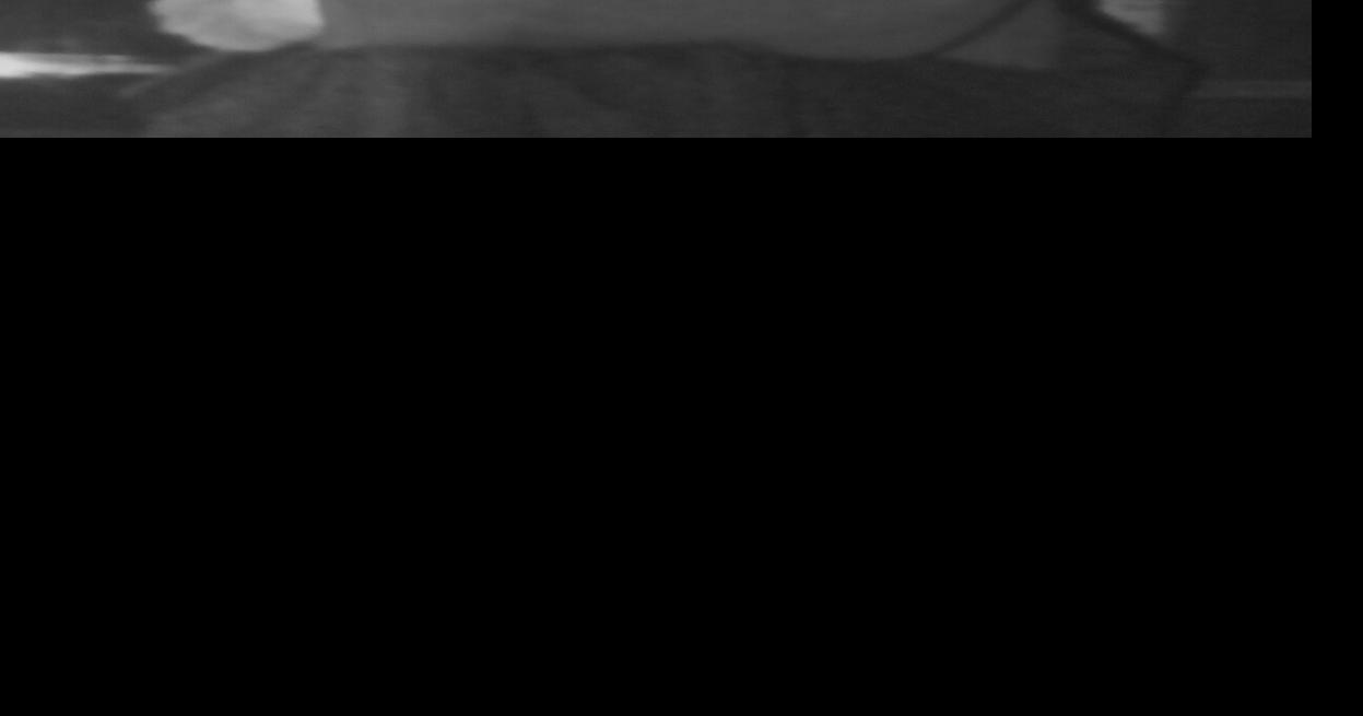 Della Jean Danner, 88 | Obituaries | willistonherald.com