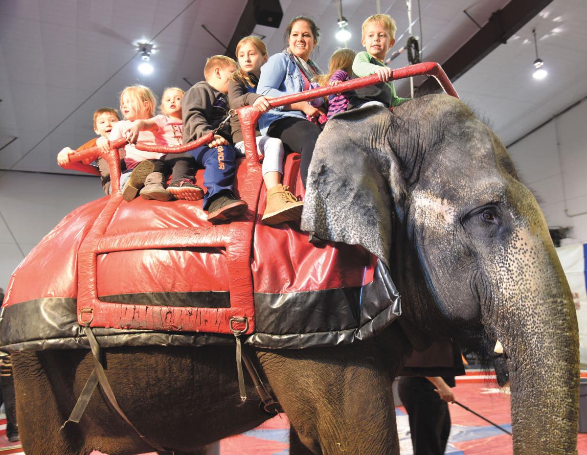 66th annual Shrine Circus coming Tuesday, Wednesday | Local News ...