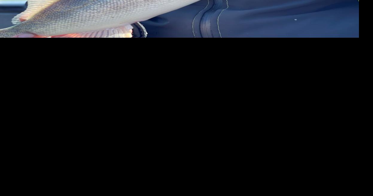 Fredericks on Fishing: Chamberlain Area Red Hot | Hunting and Outdoors ...