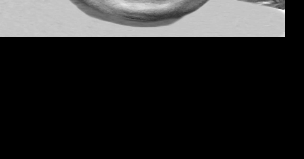 Steve Larvick, 63 | Archives | willistonherald.com