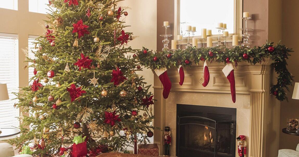 NFPA encourages prompt removal of Christmas trees | Public Safety ...