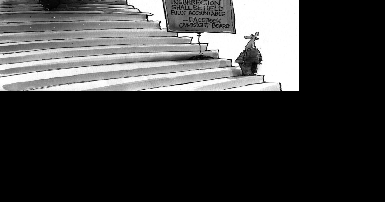 Insurrection cartoon | Opinion | willistonherald.com