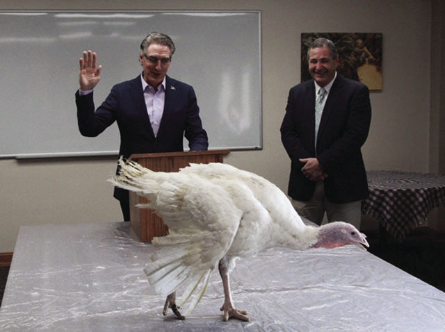 Burgum pardons lucky turkey in lead-up to Thanksgiving | State ...