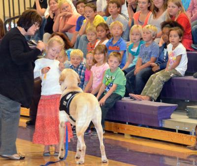 North Dakota facility trains service dogs | Local News ...
