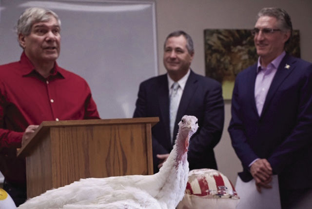 Burgum pardons lucky turkey in lead-up to Thanksgiving | State ...