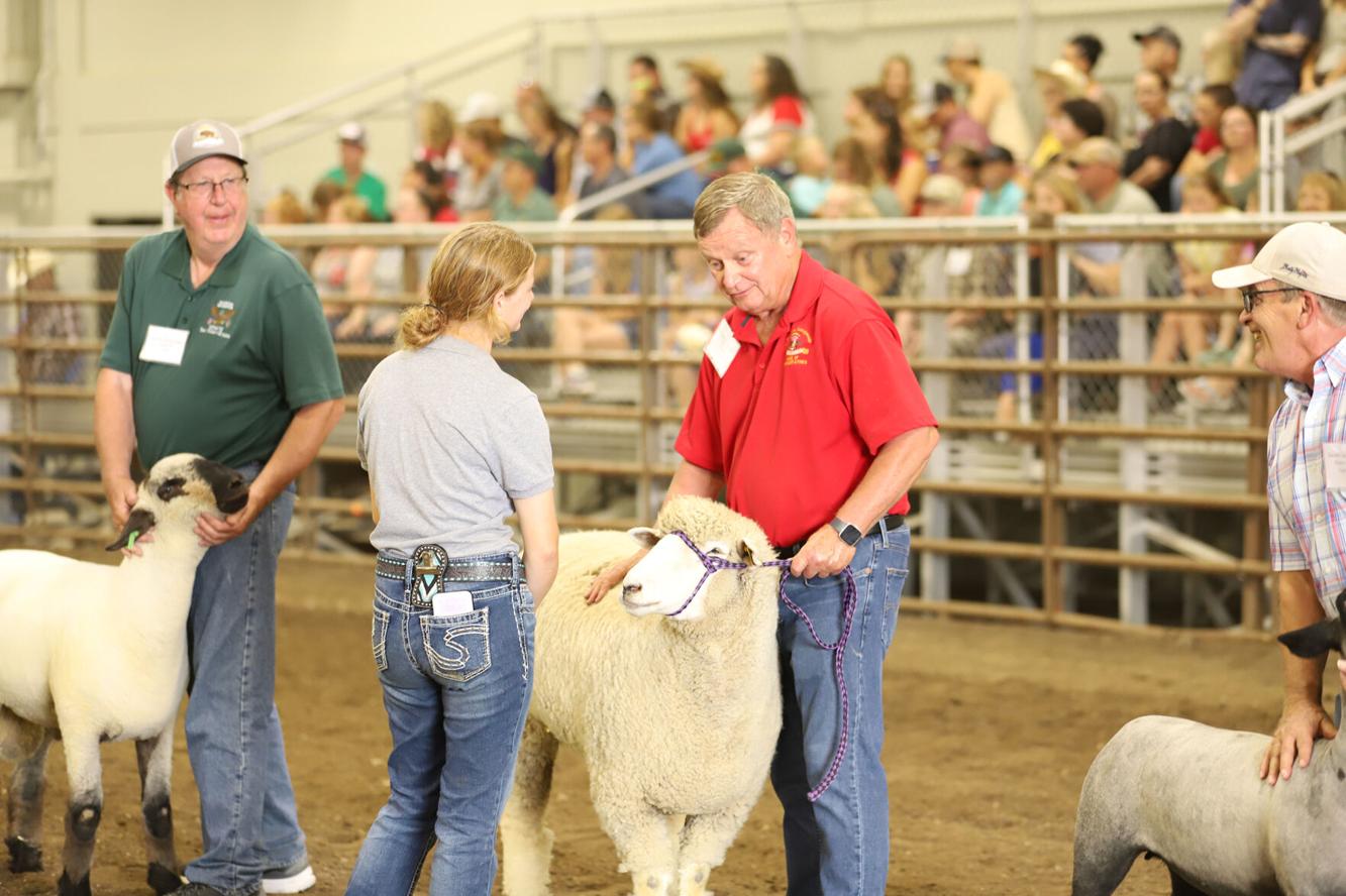 N.D. leaders experience 4-H livestock showmanship | Farm & Ranch ...