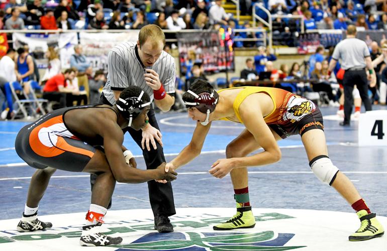 Saturday at State | Local Sports | willistonherald.com