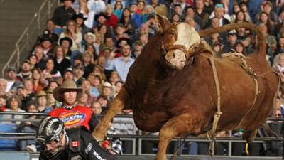 Bull riding comes to Williston this week | Local News | willistonherald.com