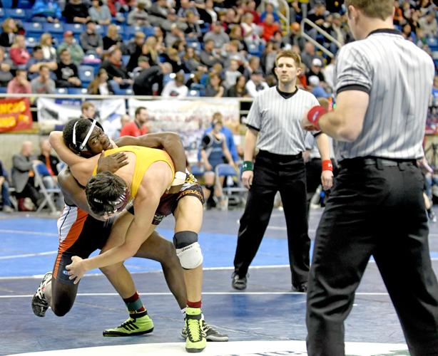 Saturday at State | Local Sports | willistonherald.com