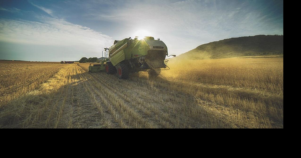 Underground salt cavern storage could help solve North Dakota's ...