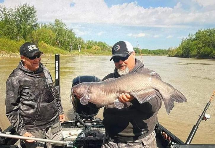 Brad’s Bites: Cats Slightly Slower | Hunting and Outdoors ...