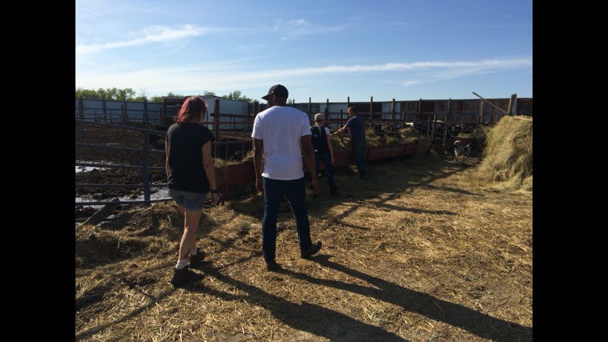 underworld inc fracking hell