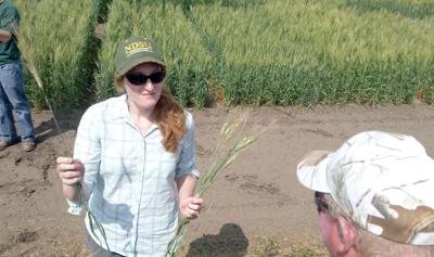 2017 looks like a challenge for farmers and ranchers | Local News ...