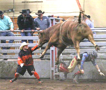 The longest 8 seconds: Bull riding event is set for this weekend ...