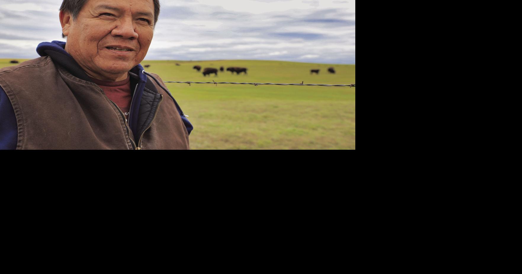 Standing Rock rancher runs nation’s largest native-owned buffalo herd ...