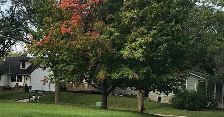 It's Happening! | Q102 | willmarradio.com