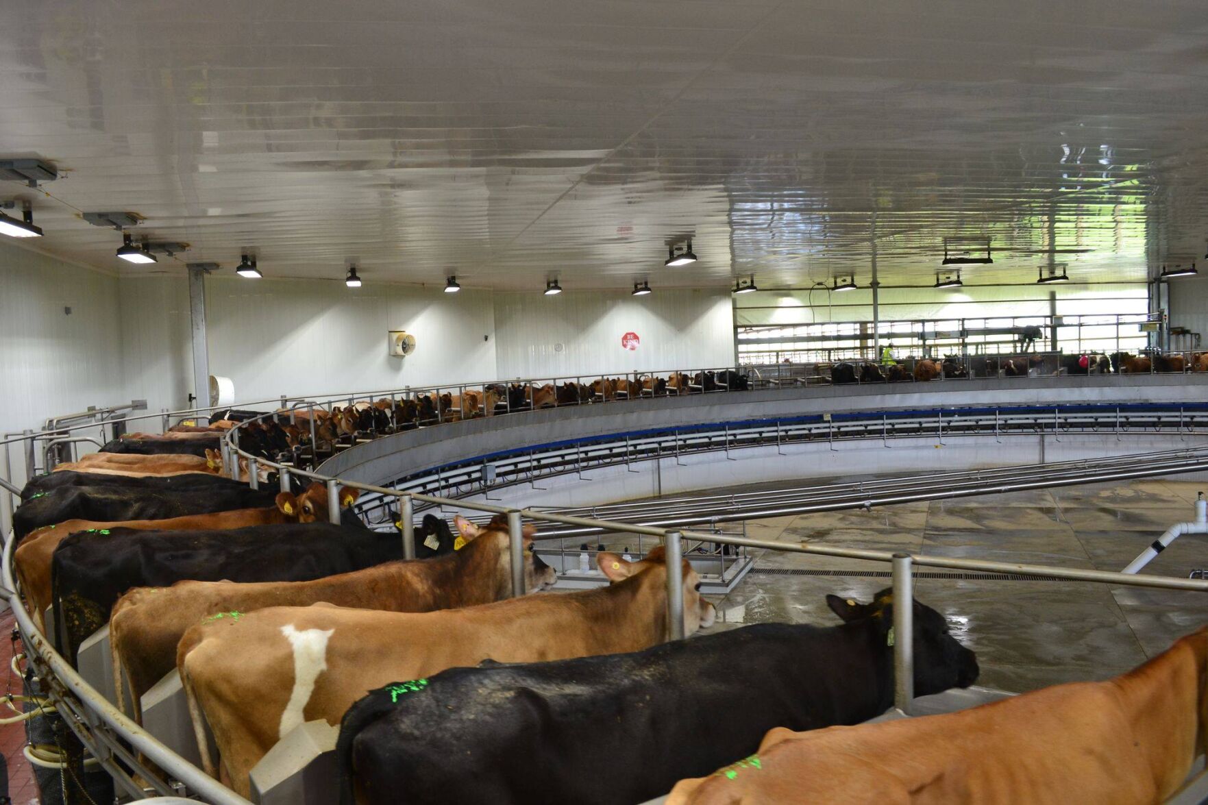 Manure spill reported at large Pennock dairy operation | News ...