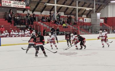 Willmar girls shut out Northern Lakes in 6A Semifinal match-up | Sports ...