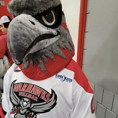 Willie the Warhawk stolen | News | willmarradio.com
