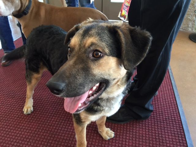 KWLM Spring Show Photos | | willmarradio.com