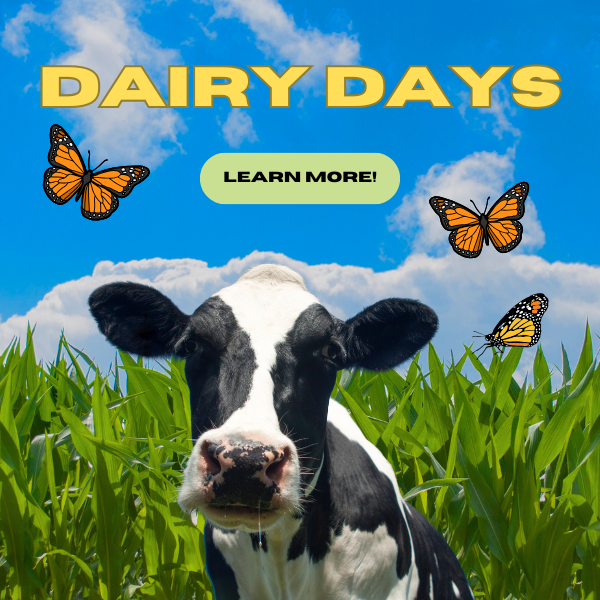 KWLM | willmarradio.com