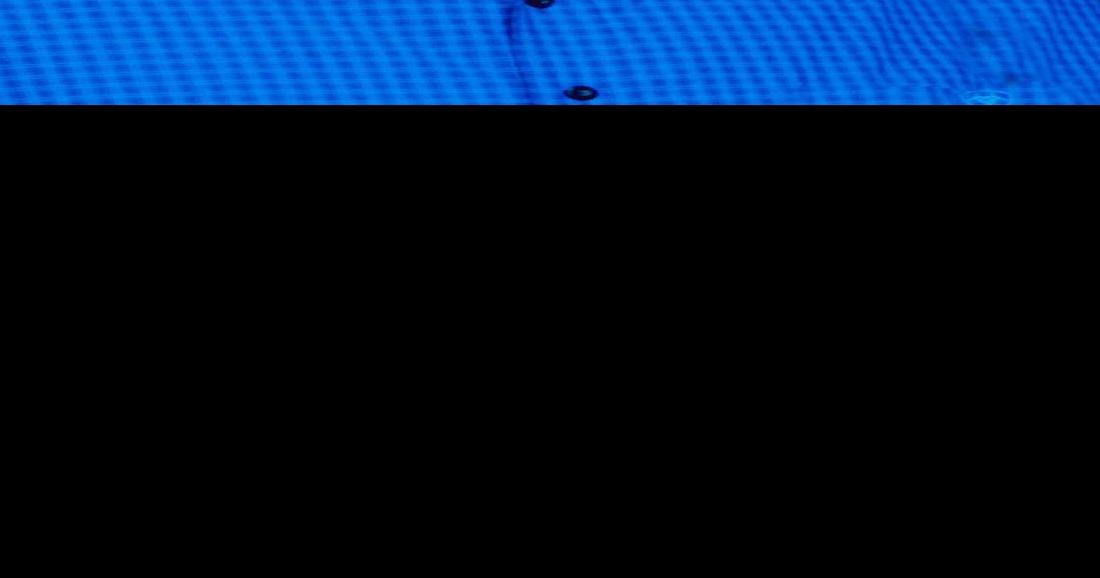 Robert Roelofs | Obituaries | willmarradio.com