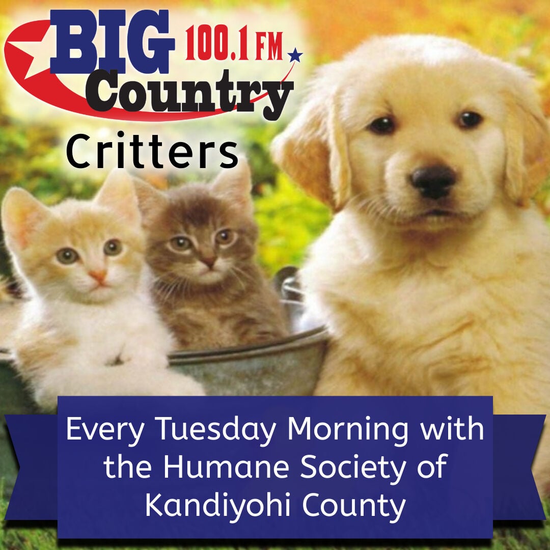 Big Country 100.1 FM | willmarradio.com