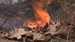 Central Minnesota Burning Restrictions | News | willmarradio.com