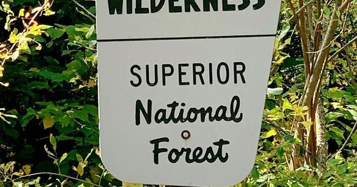 Walz Authorizes National Guard to Assist in Search for Two Missing ...