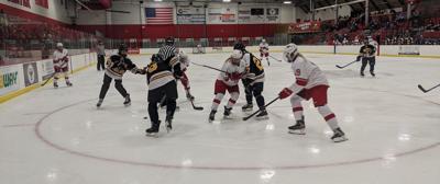 Willmar falls to Hutch in Girls Hockey season opener | Sports ...