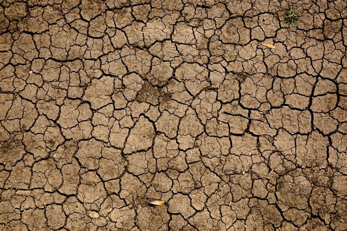 Drought conditions persist, despite rain | News | willmarradio.com