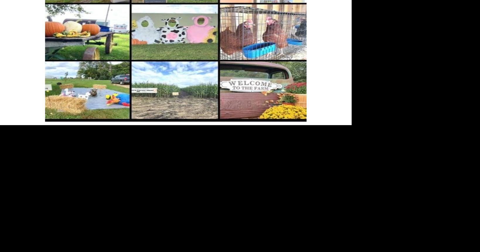 Kandi Land Farm Experience | Calendar | willmarradio.com