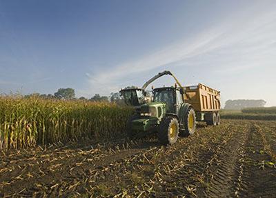 corn harvest date