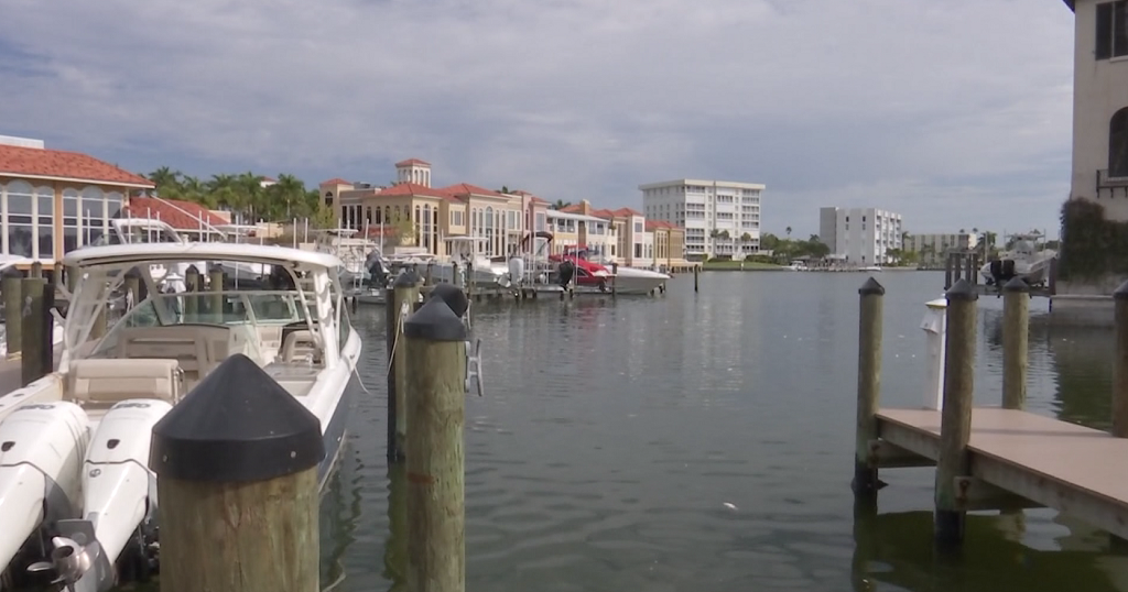 Red tide continues to linger off SWFL coast; visitors see different ...