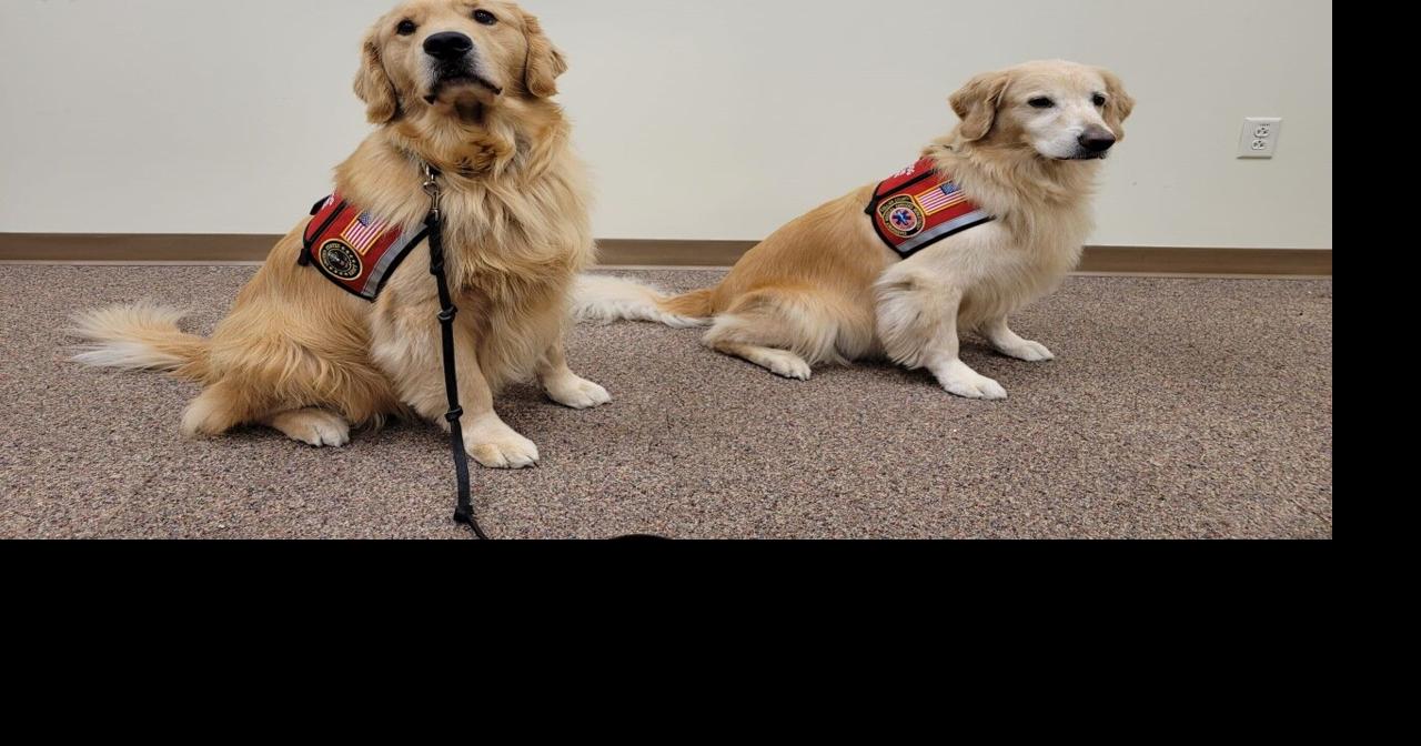 Collier County EMS starts therapy dog program for first responders ...